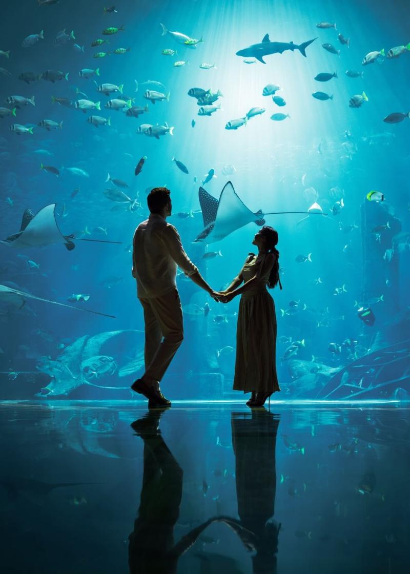 JONATHAN STOKES photo